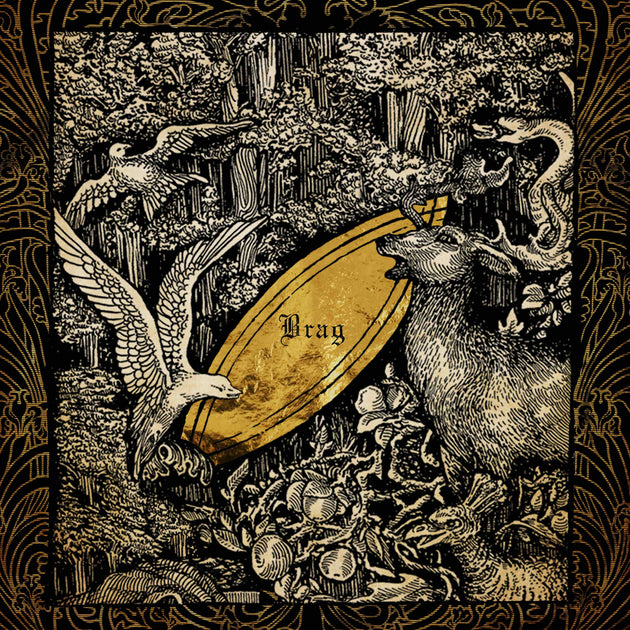 The Home Team Unveil Addictive New Music Video For Single, "Brag ...